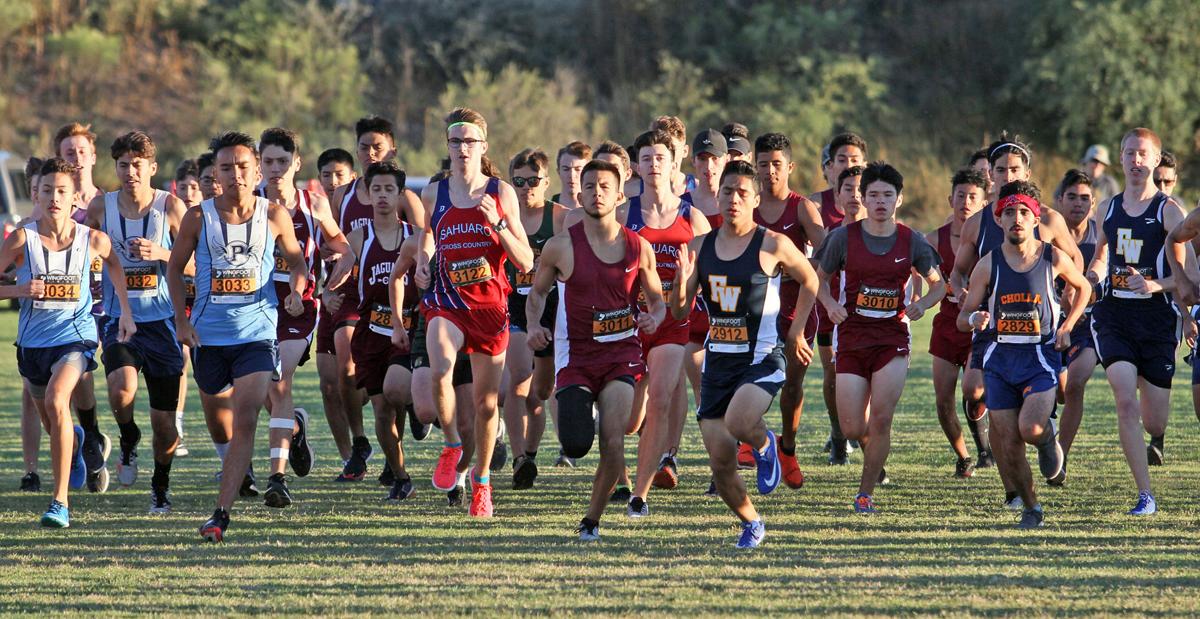 Rio Rico cross country teams qualify for state meet | Local Sports News ...