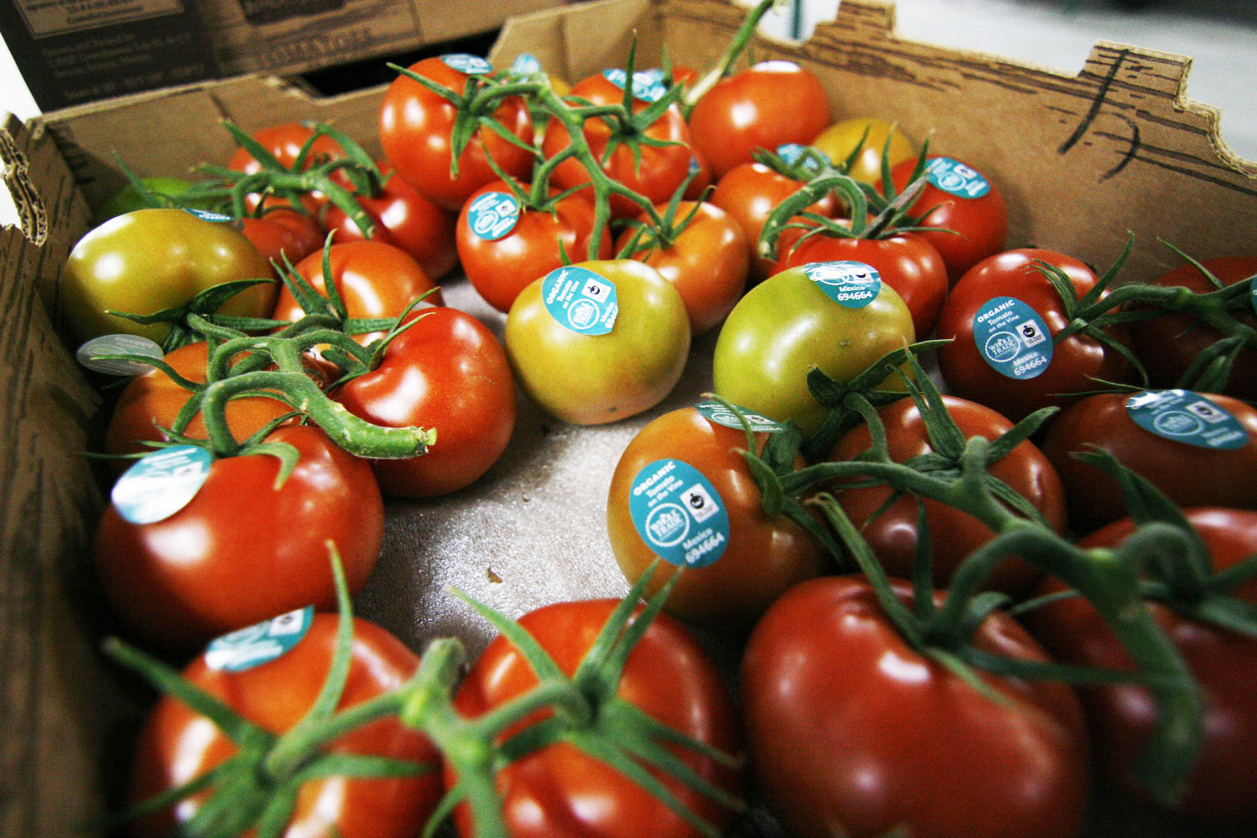 War of words heats up tomato dispute | Local News ...