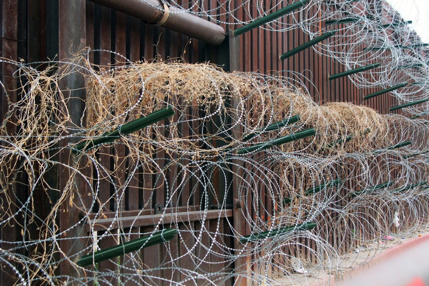 wire border fencing