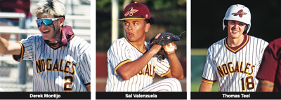 NHS baseball players earn all-state, all-region honors | Local Sports ...