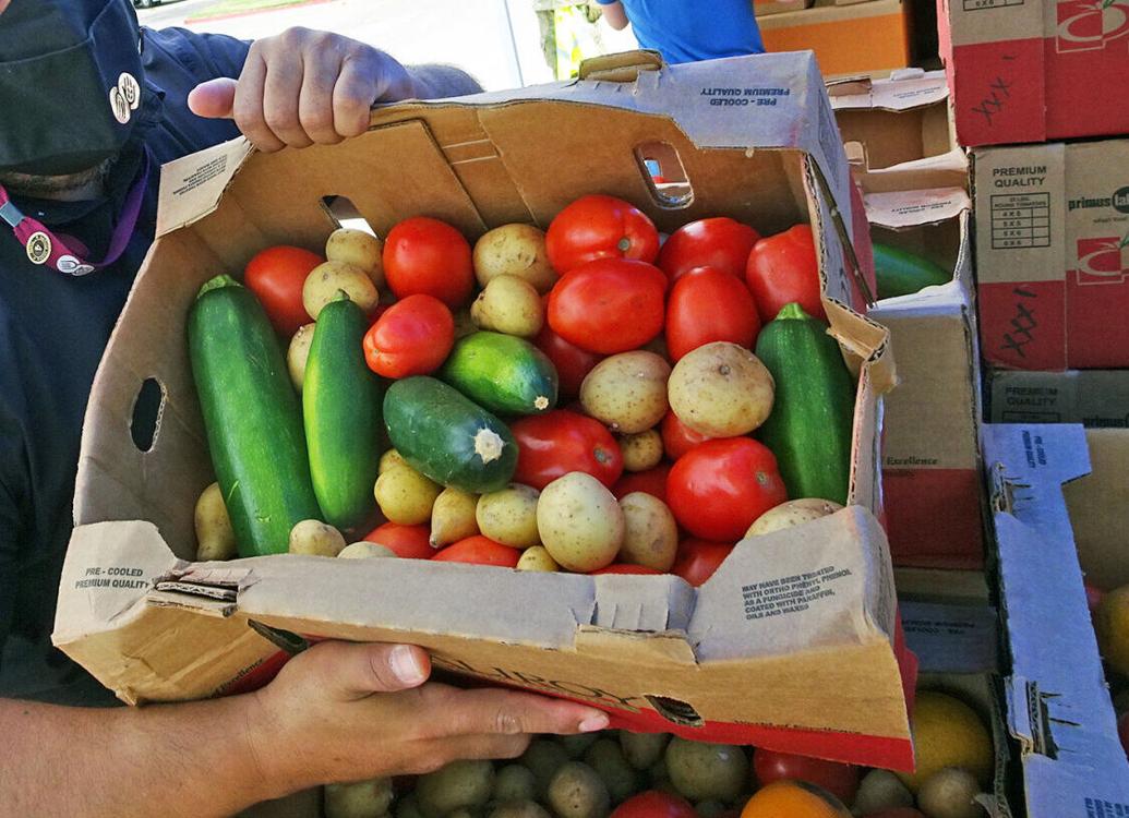 USDA food boxes to be distributed on Monday | Community ...