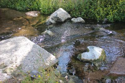 Trump budget includes funding that could go to IOI | Local News ...