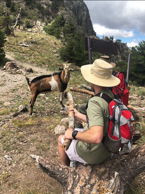 Authorities kill goat that was aggressive with hikers in Mt. Wrightson ...