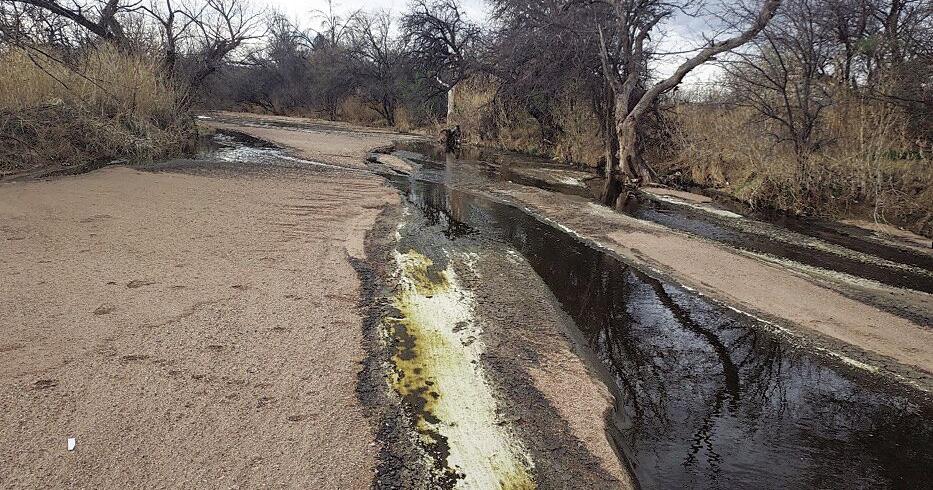 February effluent spill showed signs of contamination in Santa Cruz ...