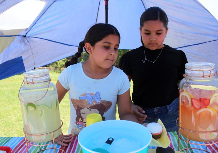 Rio Rico twins launch lemonade stand in Nogales | Community ...