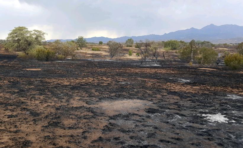 Encino Fire burns homes in Sonoita | Local News | nogalesinternational.com