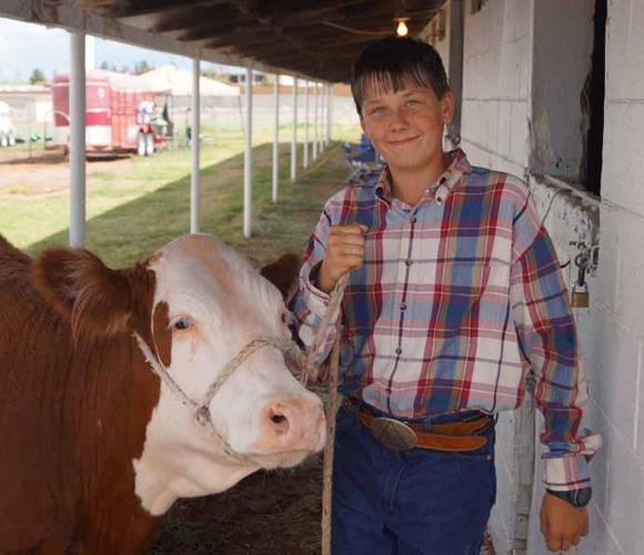 4-H members prep for county fair | News | nogalesinternational.com