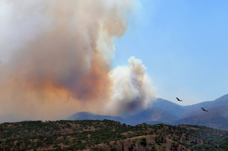 Bull Fire exhibiting 'extreme fire behavior'; three homes threatened ...