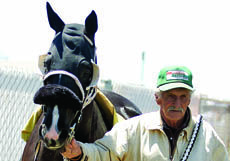 Record day for Floyd Campbell and Jesstifiable | News ...