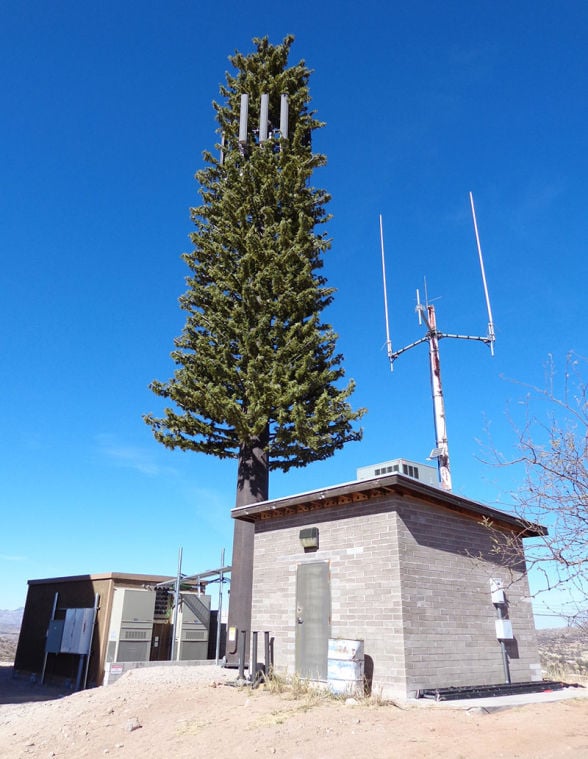 ‘Monopine’ rises on Nogales hilltop | Local News Stories ...