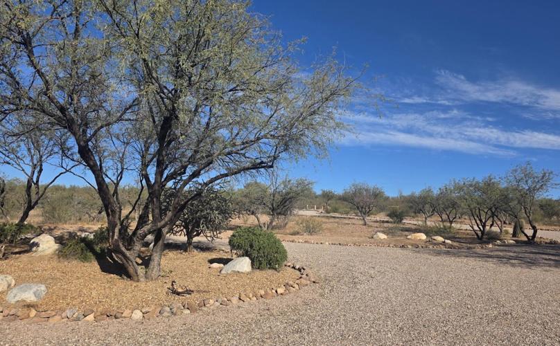 Experience Tubac culture: Home tour returns with classic Southern ...