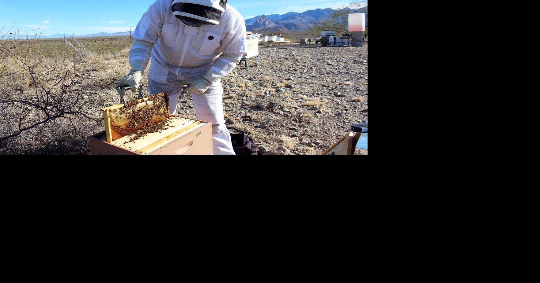 Beekeeper turns hobby into side job | Local News | nogalesinternational.com