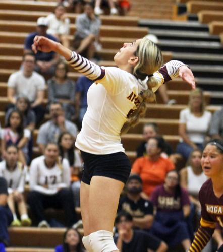 Flowing Wells downs NHS in volleyball | Local Sports News ...