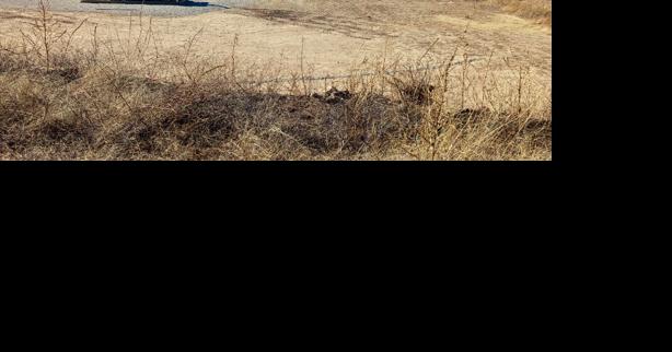 Feds remove controversial Border Patrol surveillance blimp from Nogales ...