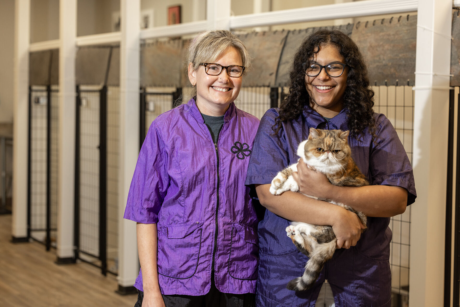 Club Meow celebrates 10 years of pampering cats in Bluffs