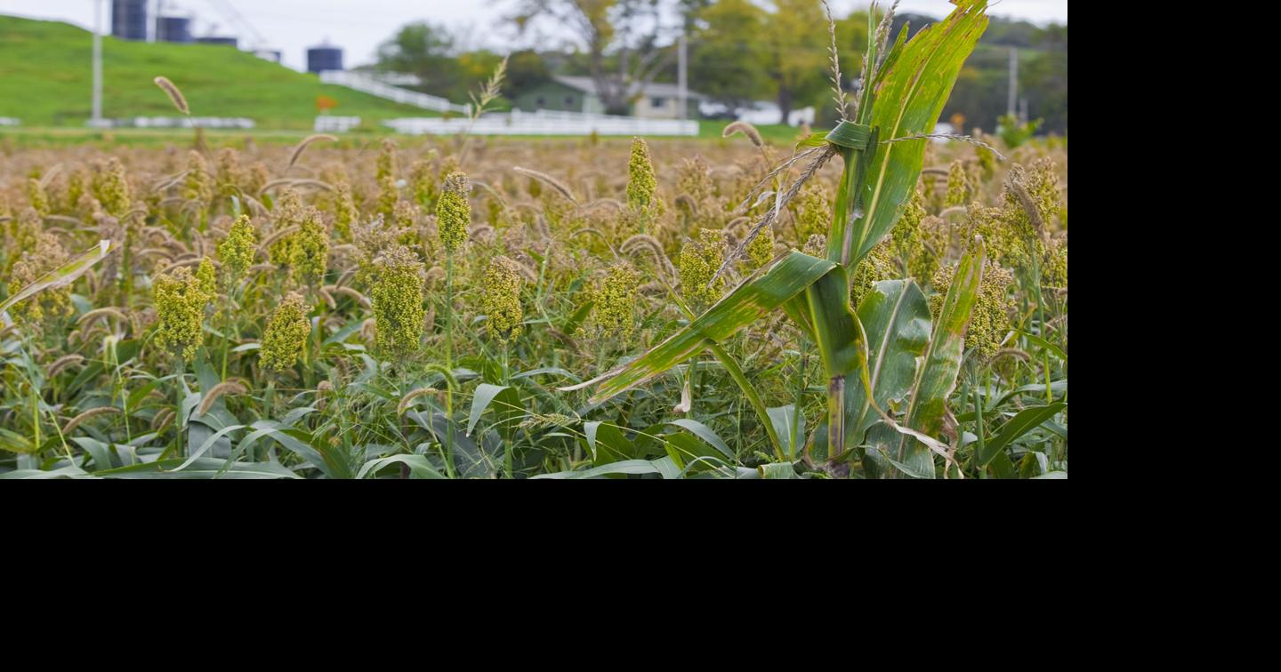 New biomass tax incentive seen as catalyst for economic growth for Iowa