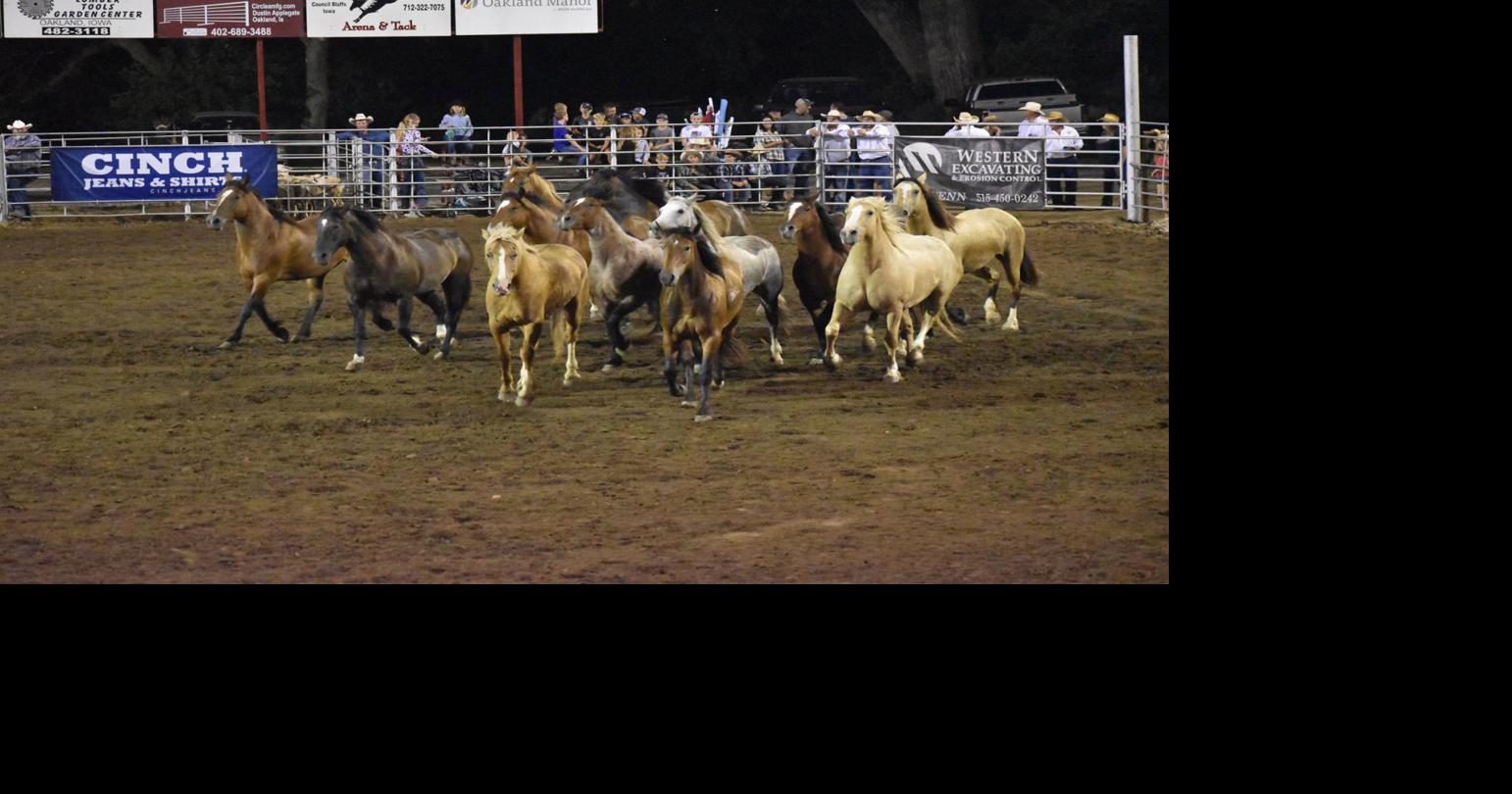 Carson rodeo to be honored at upcoming volunteer awards