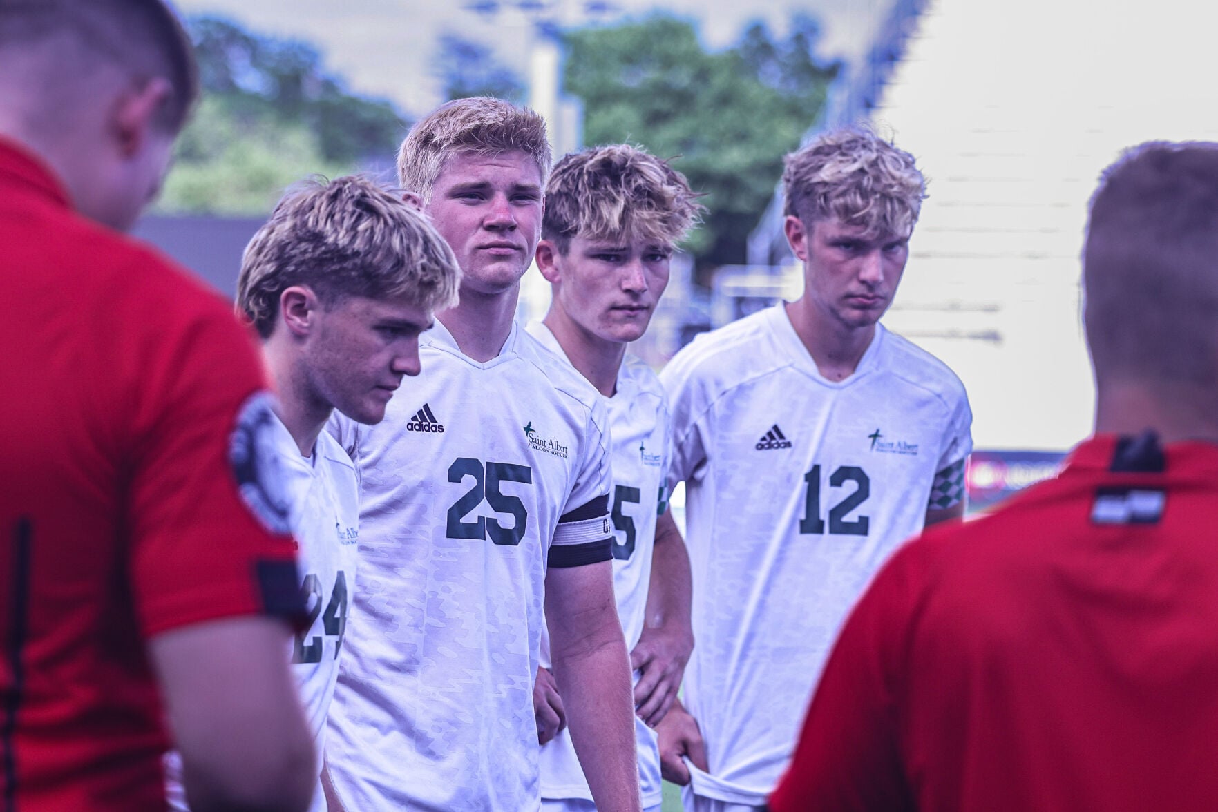 Fighting Falcons finish 'one of a kind' season one comeback short