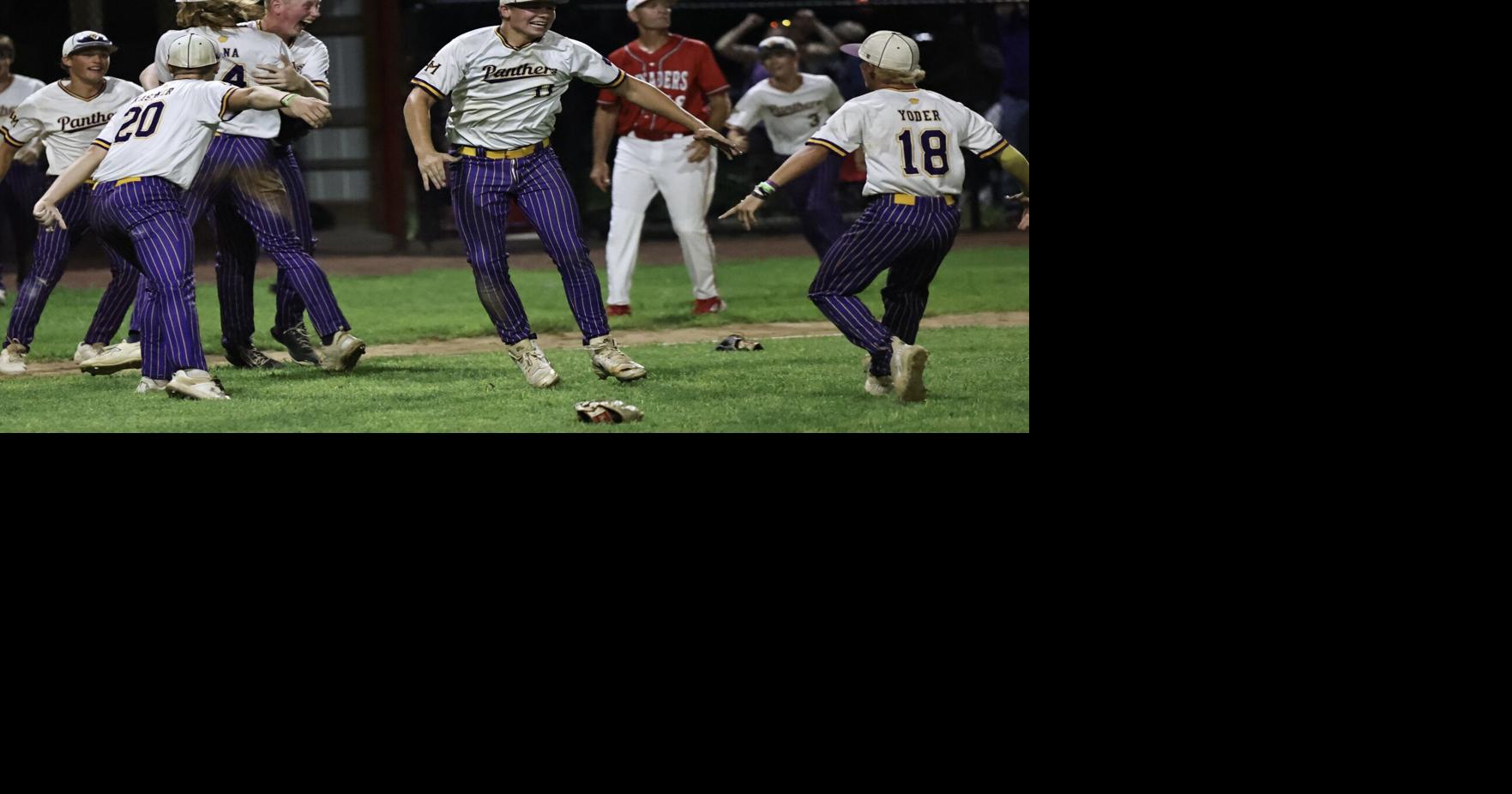 Logan-Magnolia baseball lifted to state with late heroics