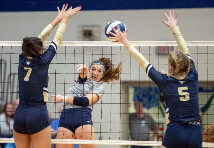 Larsen sets, hits, serves her way to All-City Player of the Year