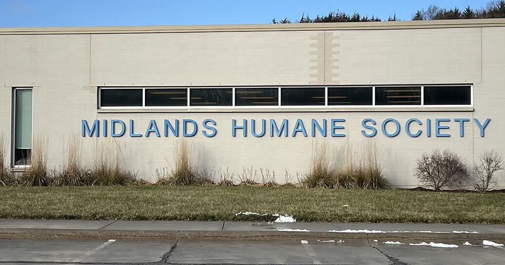 Midlands Humane Society weekly pet adoption column