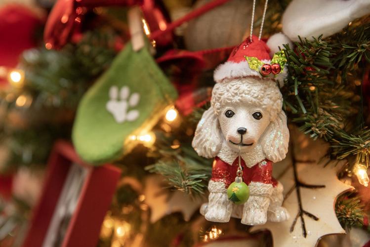Council Bluffs family opens house to spread holiday cheer