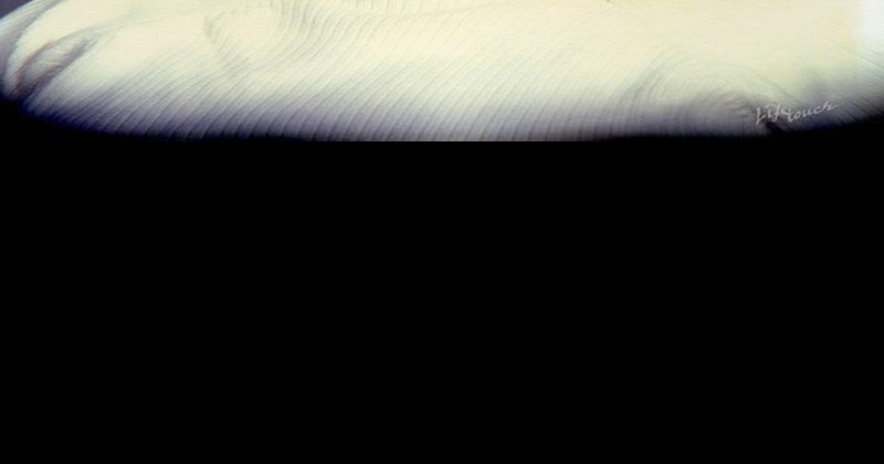 80th Birthday: Janet McIntosh