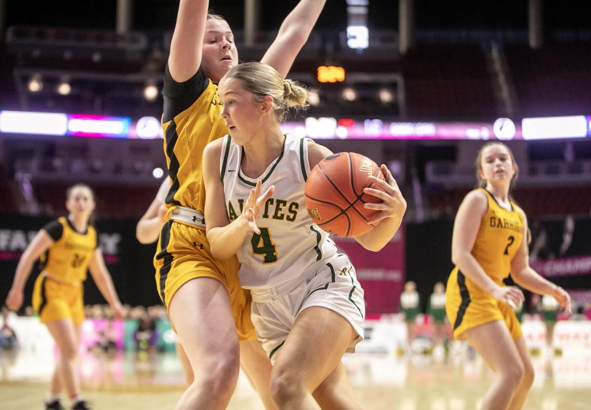 Finally, final again: St. Albert girls basketball reaches first state ...