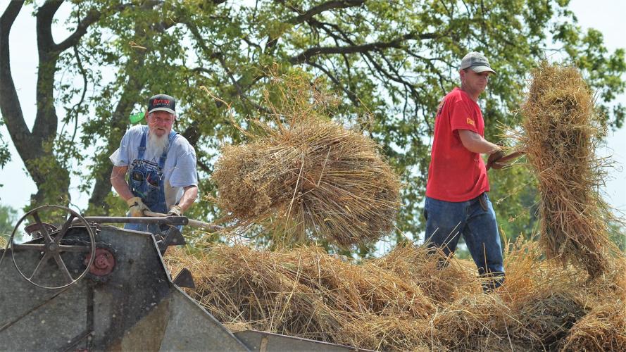 Sarpy County Fair features family friendly fun for all ages