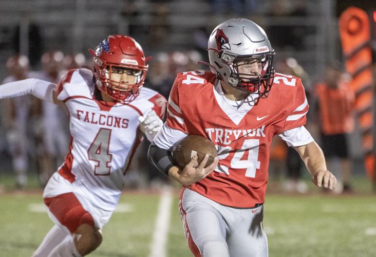 Casey and Elwood's big night helps Cardinals fly past Falcons