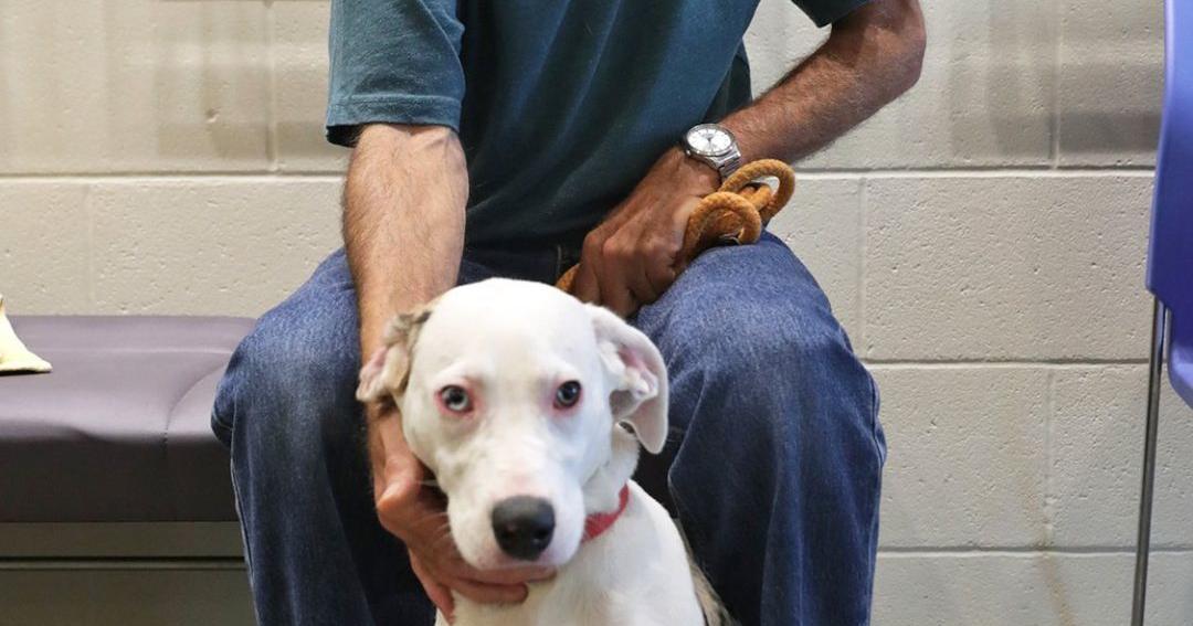 Aug. 26 Face of the Day: John Patten