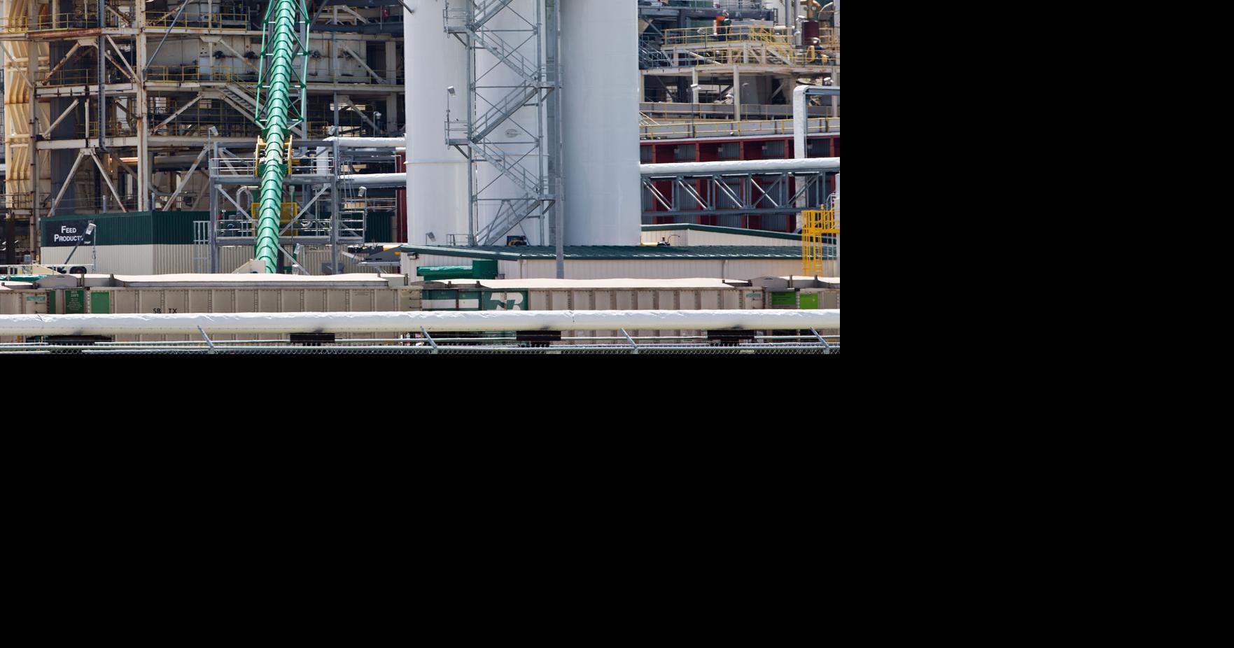 ‘Time for us to make a strong stand’: Cargill CEO touts value of free ...