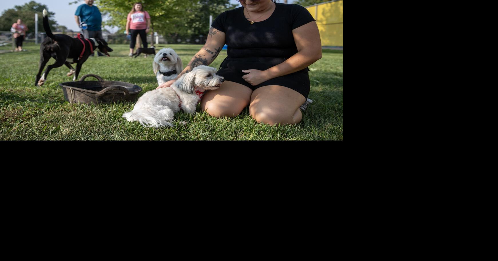 Valley View dog park dream becomes a reality