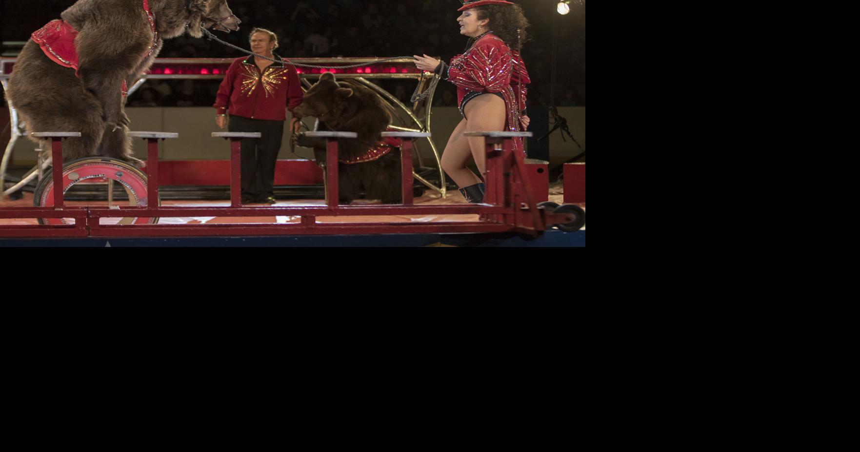 PETA condemns use of bears in Shriner circus after incident at MAC