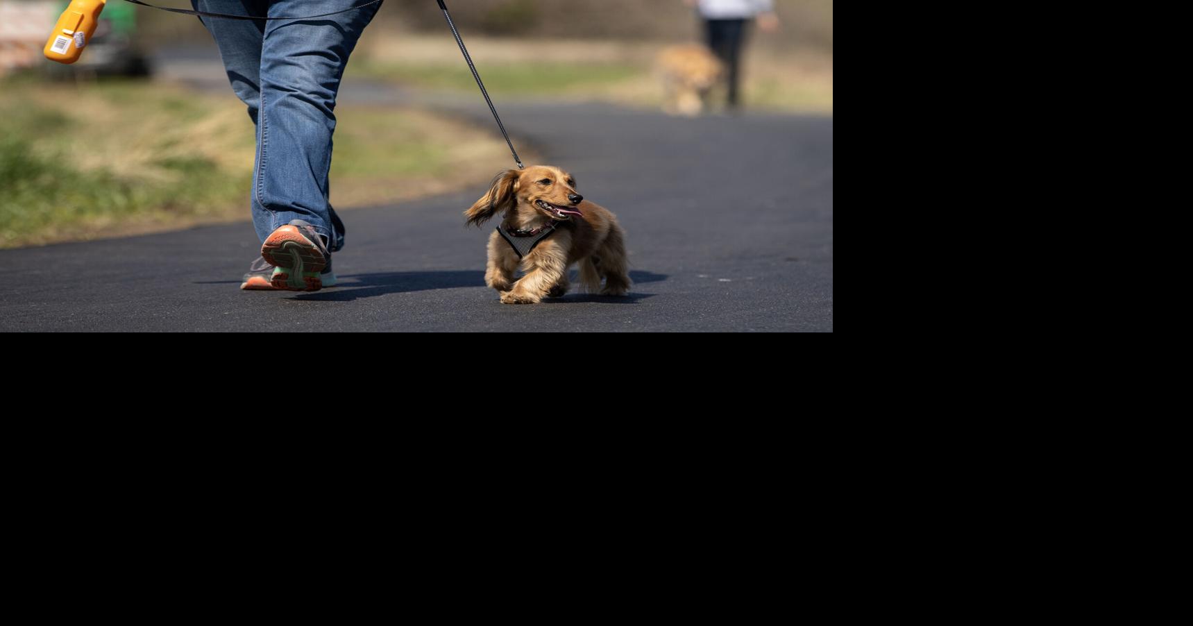 Police Chief Davis offers safety tips for walking trails