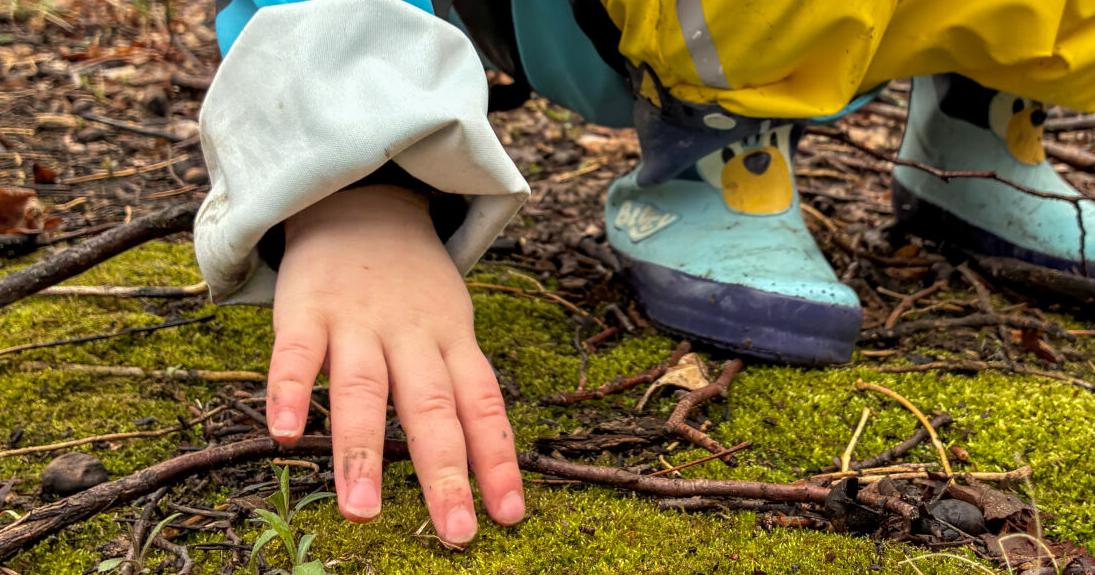 Wild Sprouts program encourages outdoor family time