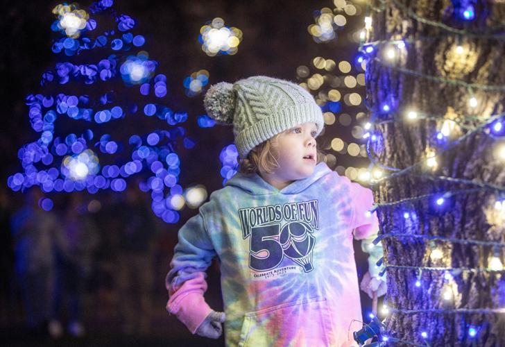 Winterfest adds activities to help with anticipated crowds