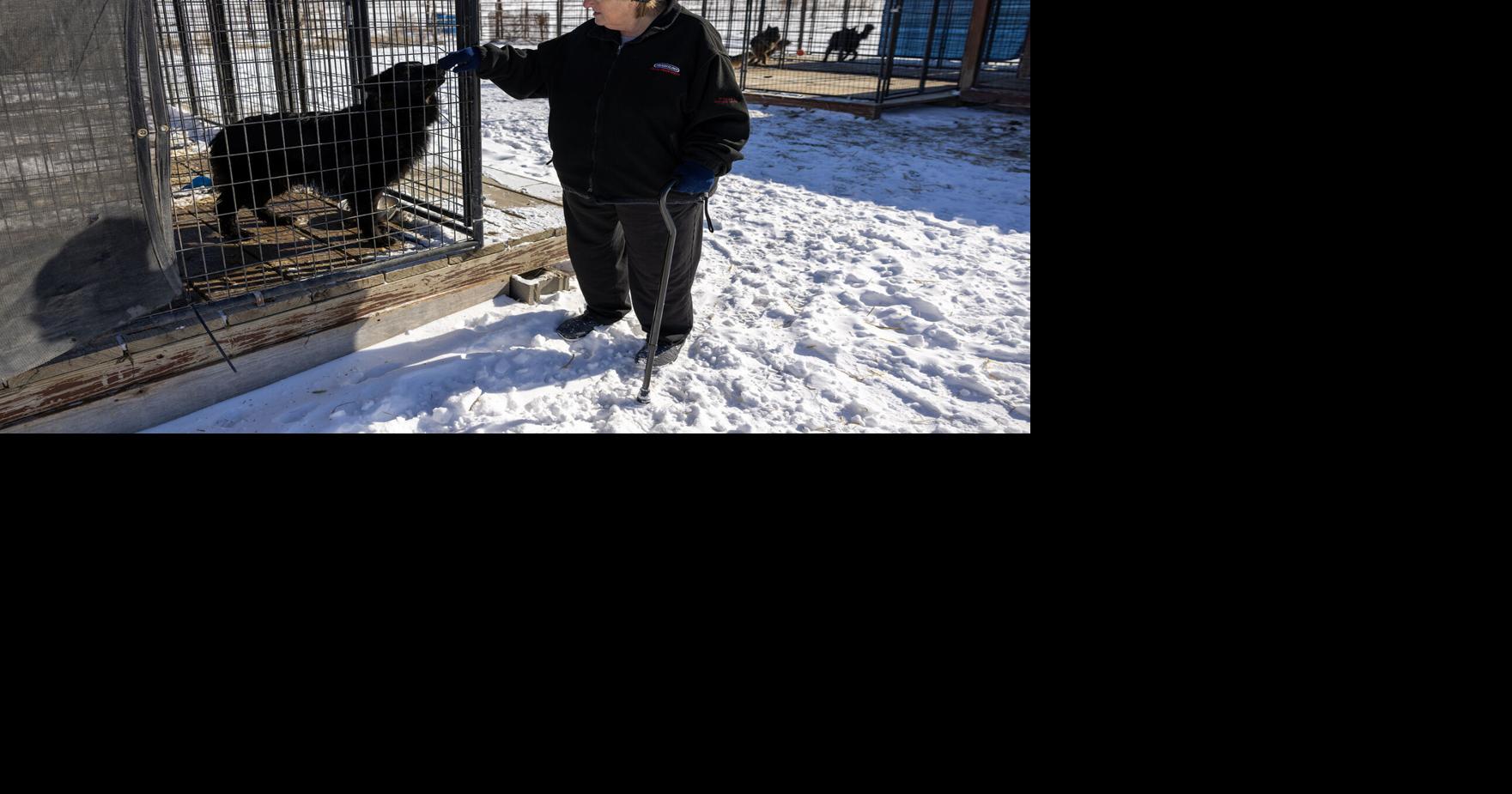 Council Bluffs kennel owner forced to remove dogs