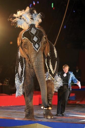 Dancing elephants part of Shrine Circus