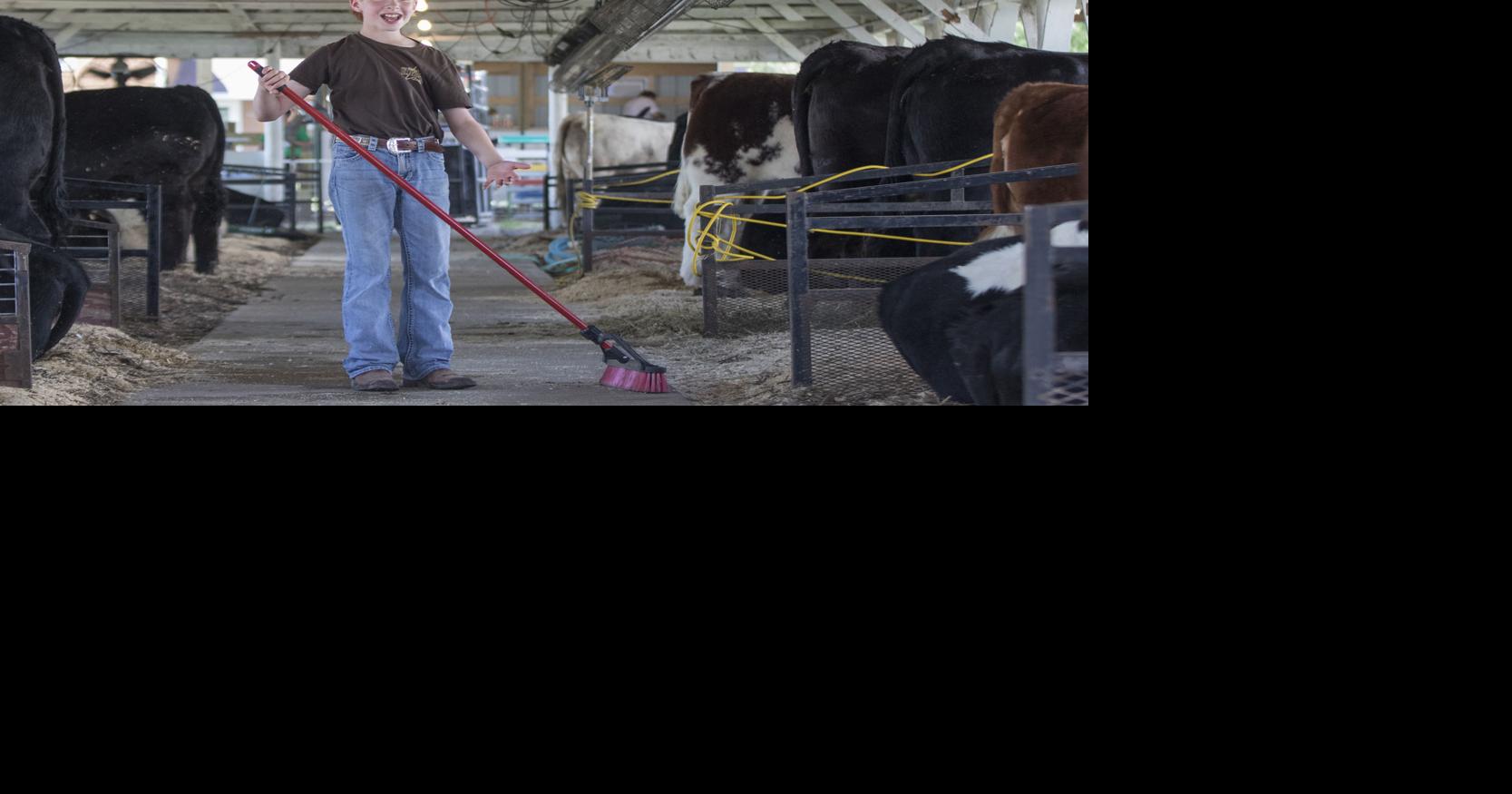 Escaped goats and ugly cakes at the Harrison County Fair