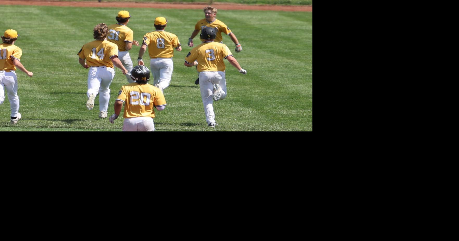 Pinneo's walk-off single wins Todd Vanderwerken Memorial Tournament for ...
