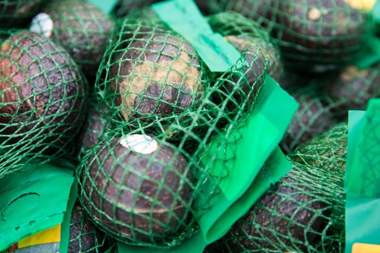 Rejected fruits, veggies starting to get respect