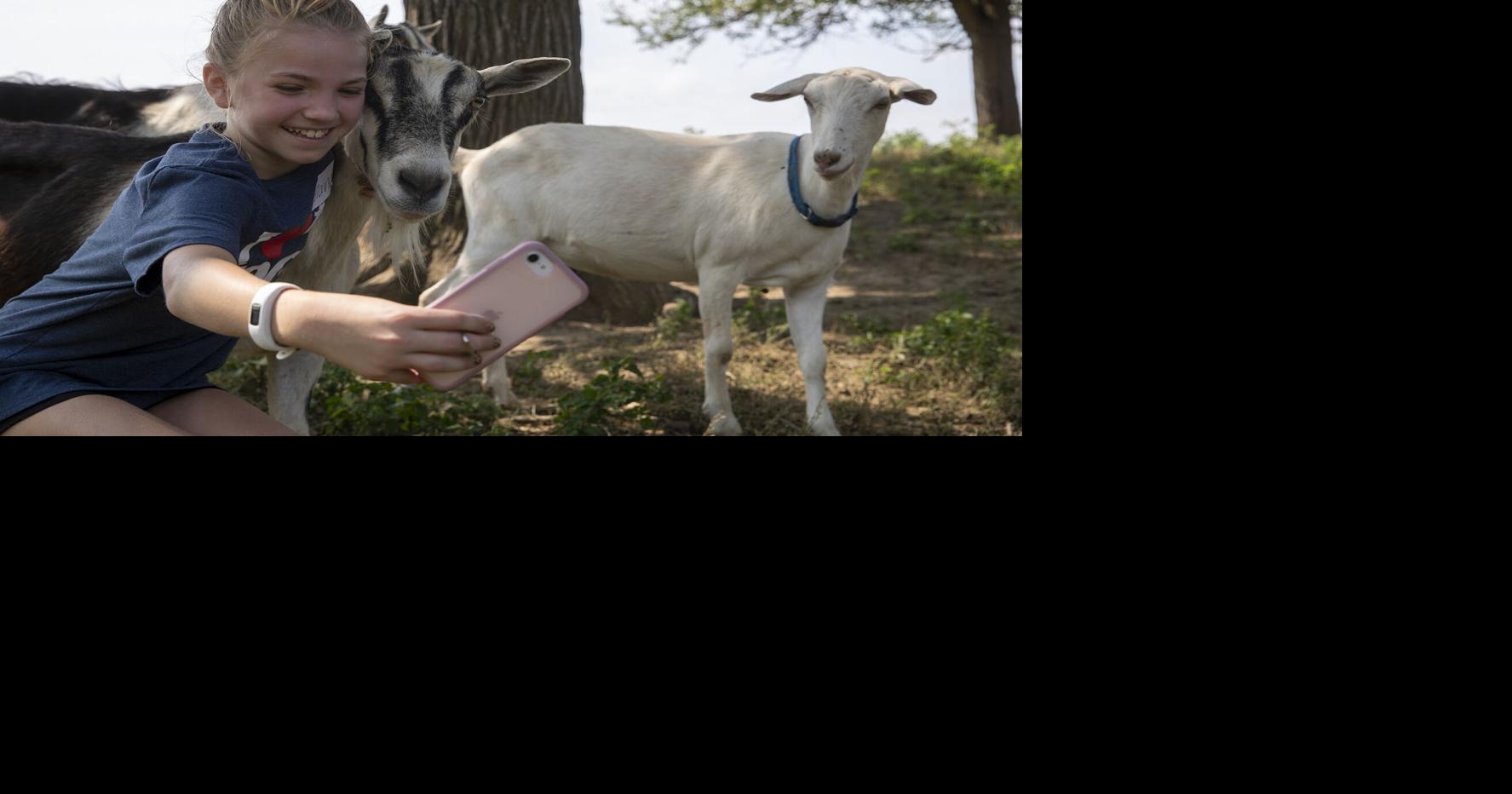 Goats, landscape and food highlight Goat Trek