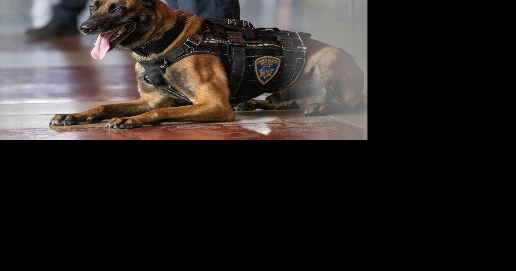Council Bluffs Police K9 Ares retires from active service