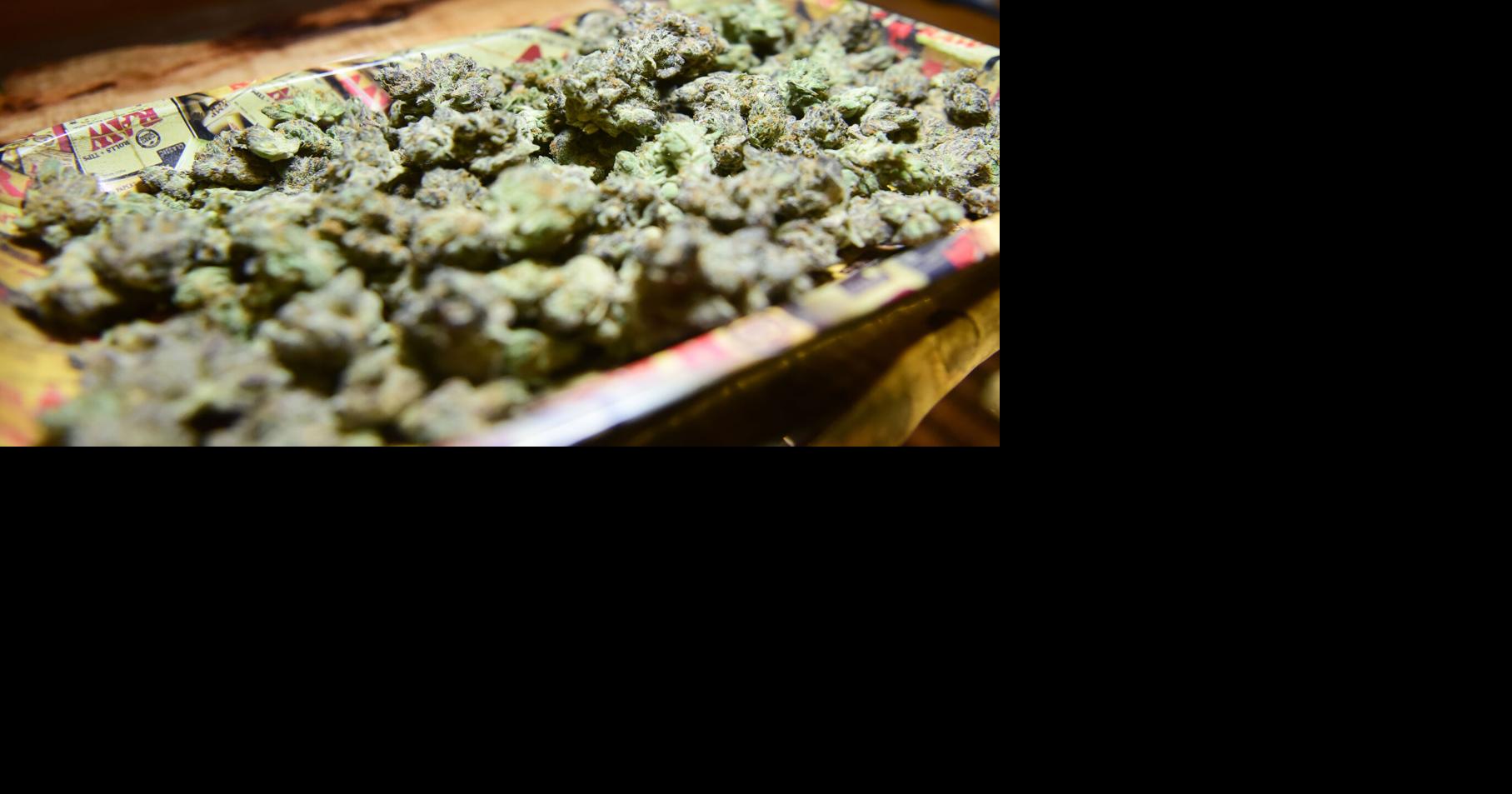 POLITICAL ROUNDUP: Lawmakers address illegal grow operations | News ...