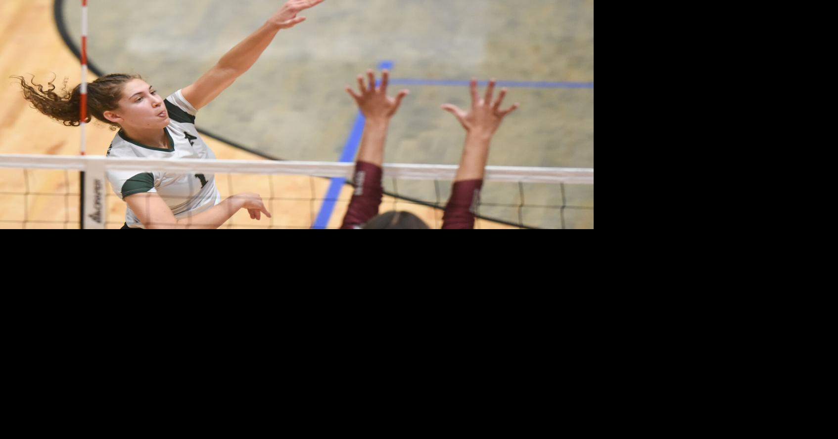 Prep volleyball: Timberwolves' late rally falls short against Bulldogs ...