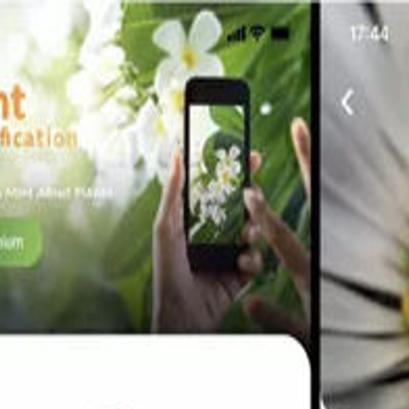 Plant And Flower Identification App | Best Flower Site