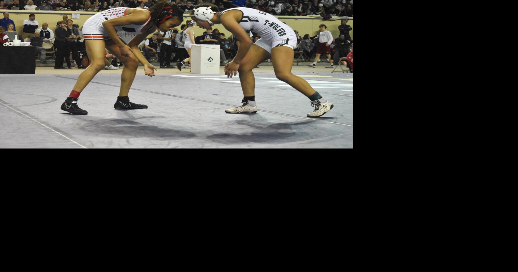 North's Sessions, Nava qualify for state tournament; NHS, Noble have ...