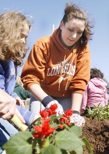 red robin award girl scouts coloring pages