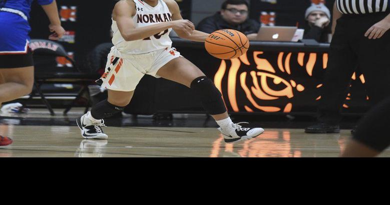 High school basketball: Get to know the 2019-20 All-Transcript boys ...